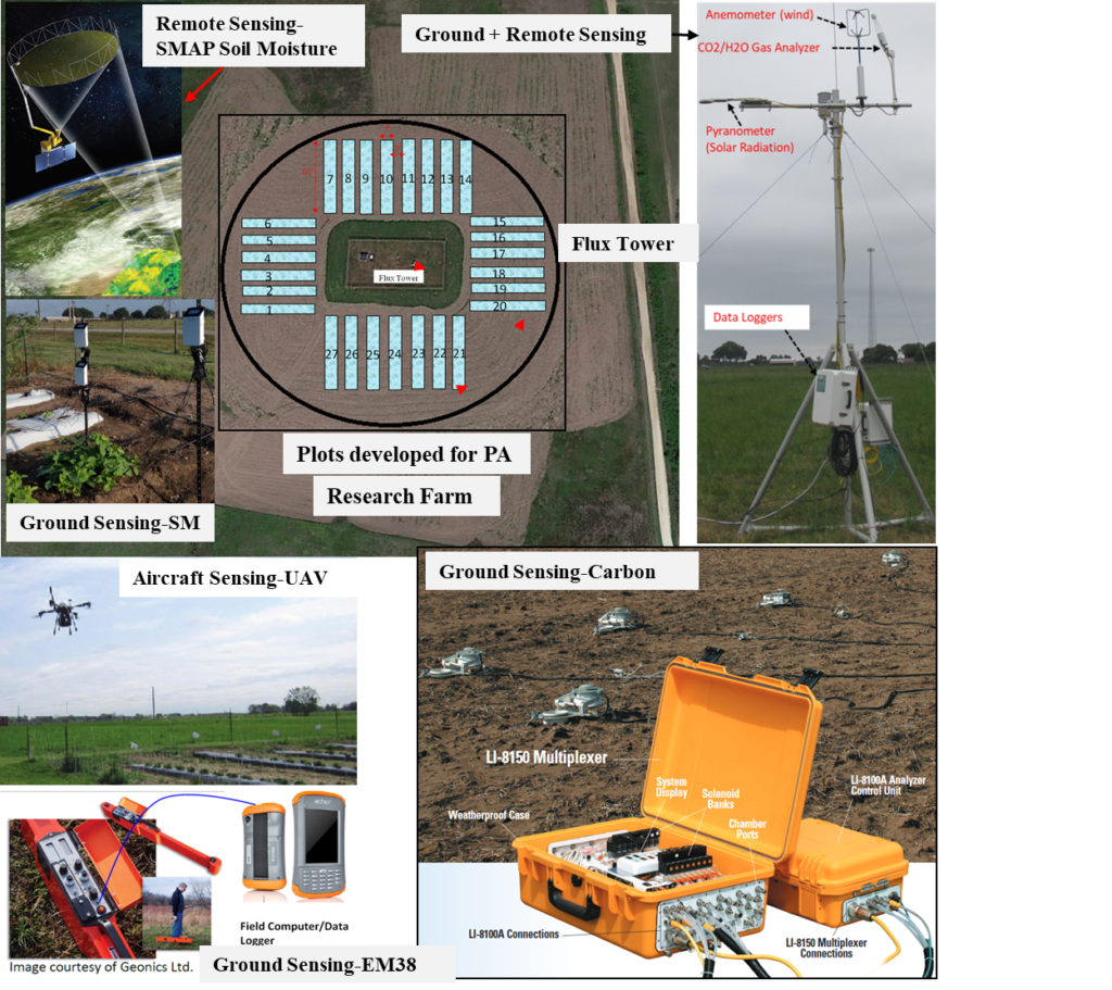 CAHS Researchers Publish Application of Remote Sensing in Precision ...