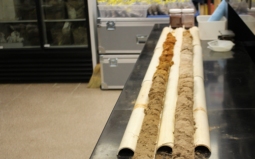 SOIL_SAMPLE - College of Agriculture Food and Natural Resources