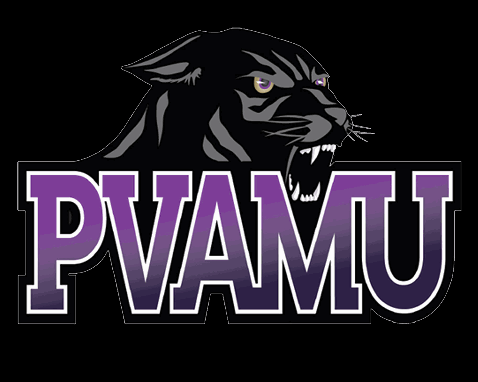 Pv Logo - Roy G. Perry College of Engineering