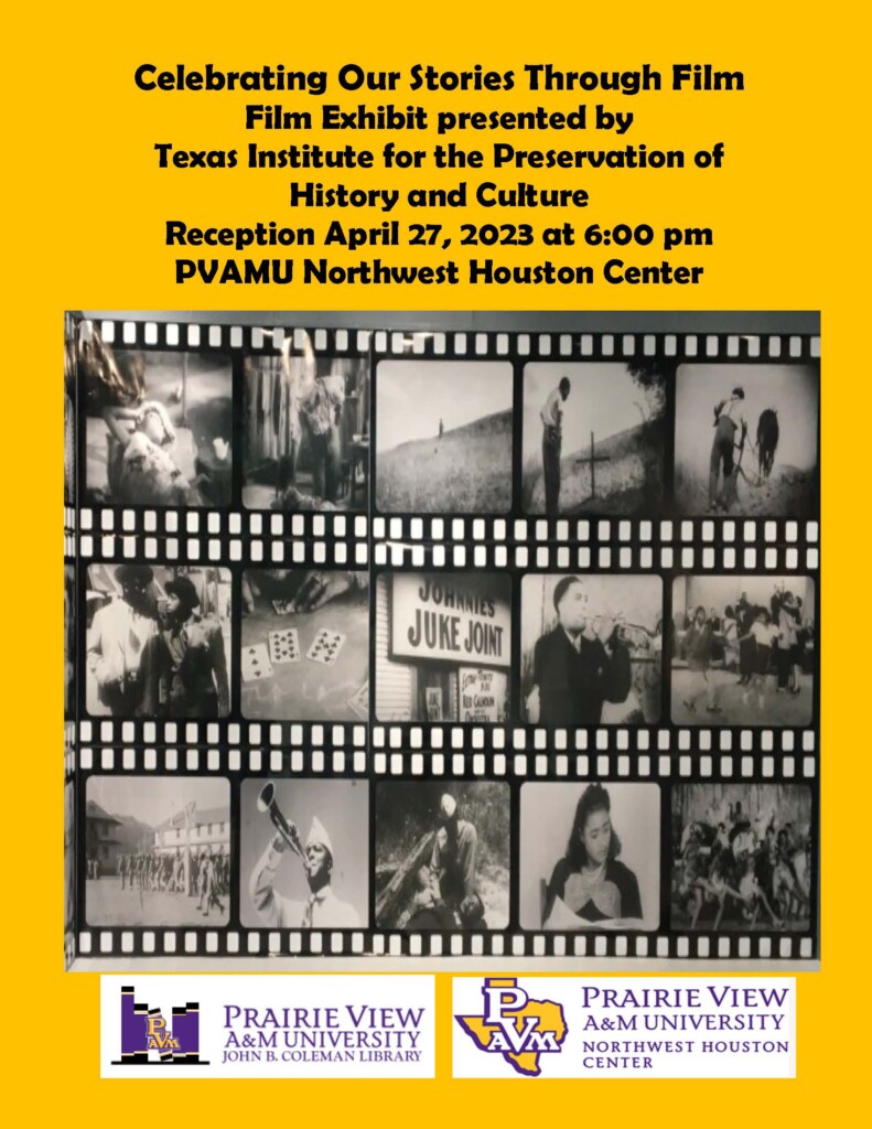 Celebrating Our Stories Through Film - Library