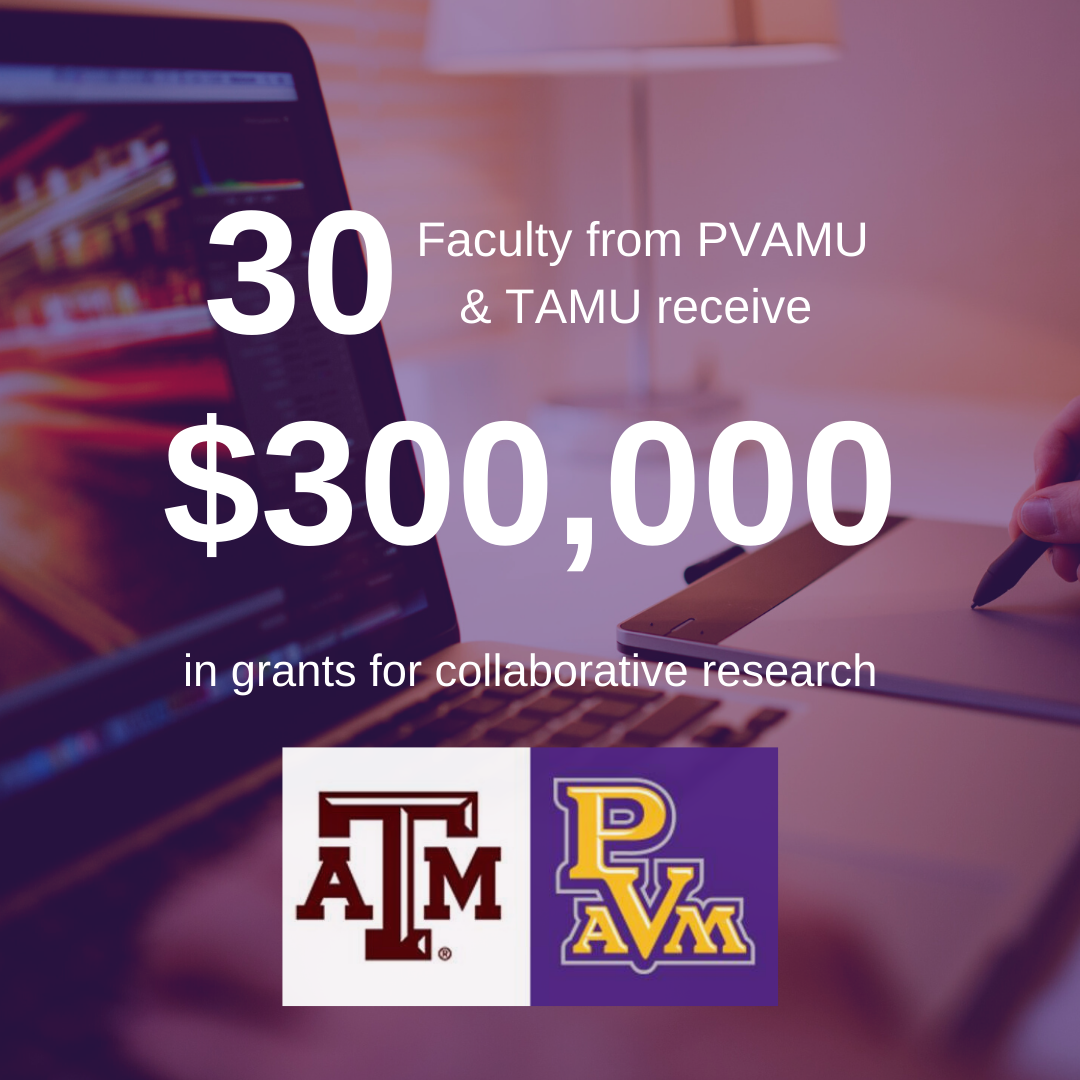 Faculty from PVAMU, TAMU receive $300,000 in grants for collaborative ...