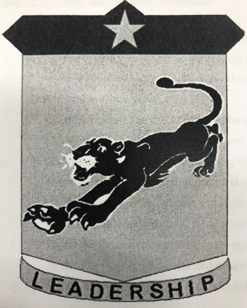 Panther Patch - Texas Institute for the Preservation of History and Culture