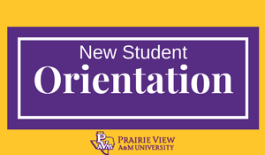 Prairie View A&M University : PVAMU Home