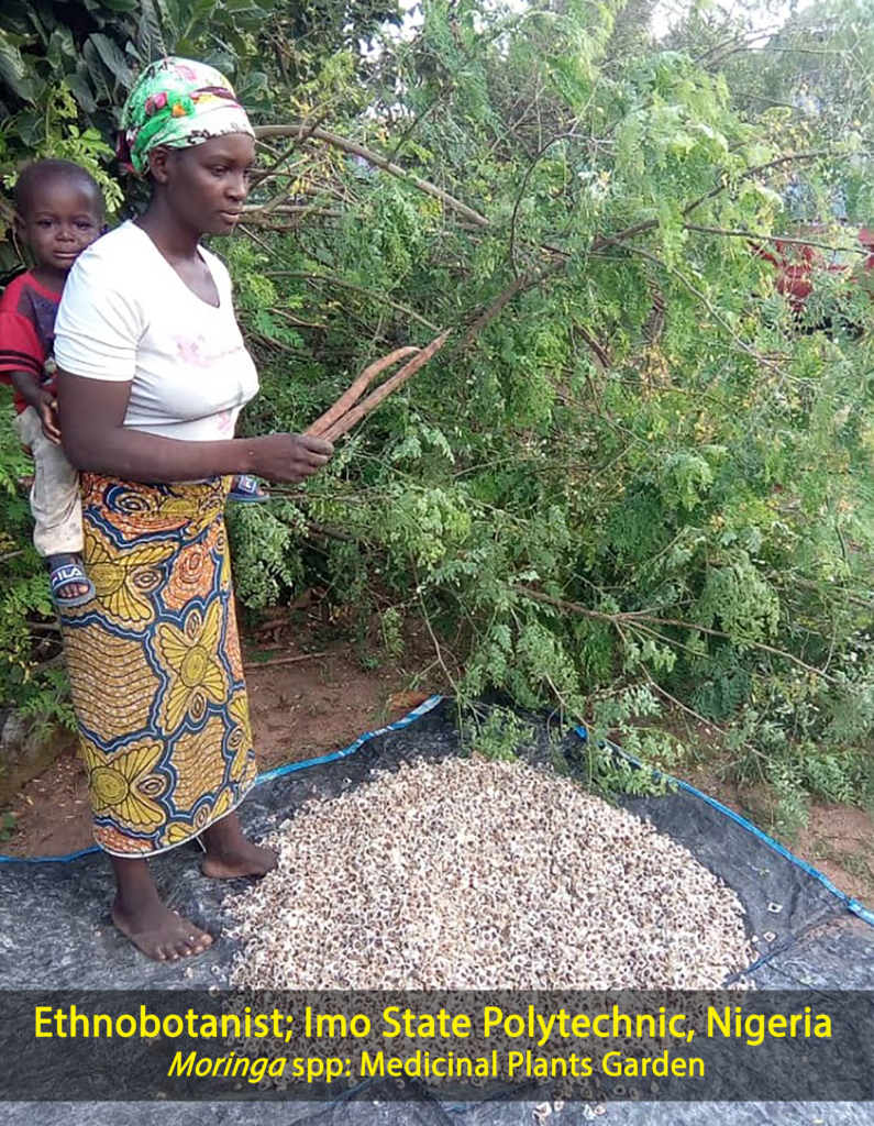 Research Medicinal Plants1 | PVAMU Home