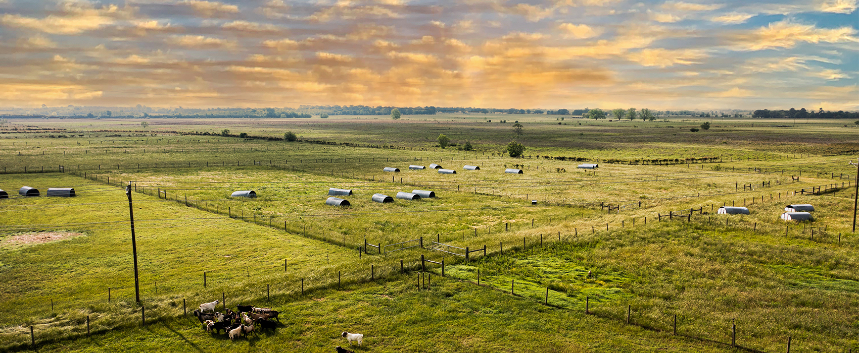 PVAMU Farm | PVAMU Home